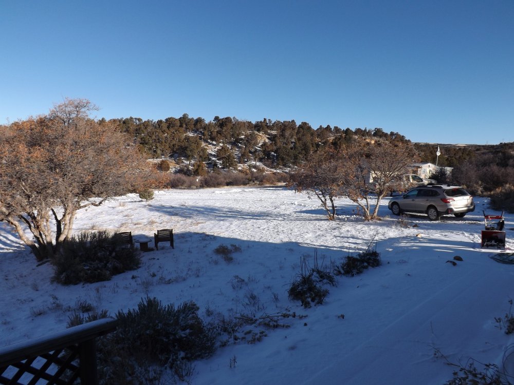 14 degrees outside - SASS Wire Saloon - SASS Wire Forum