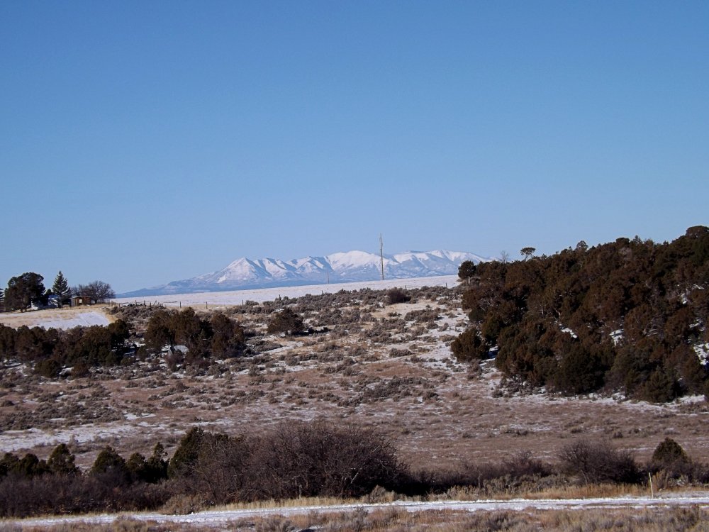 14 degrees outside - SASS Wire Saloon - SASS Wire Forum