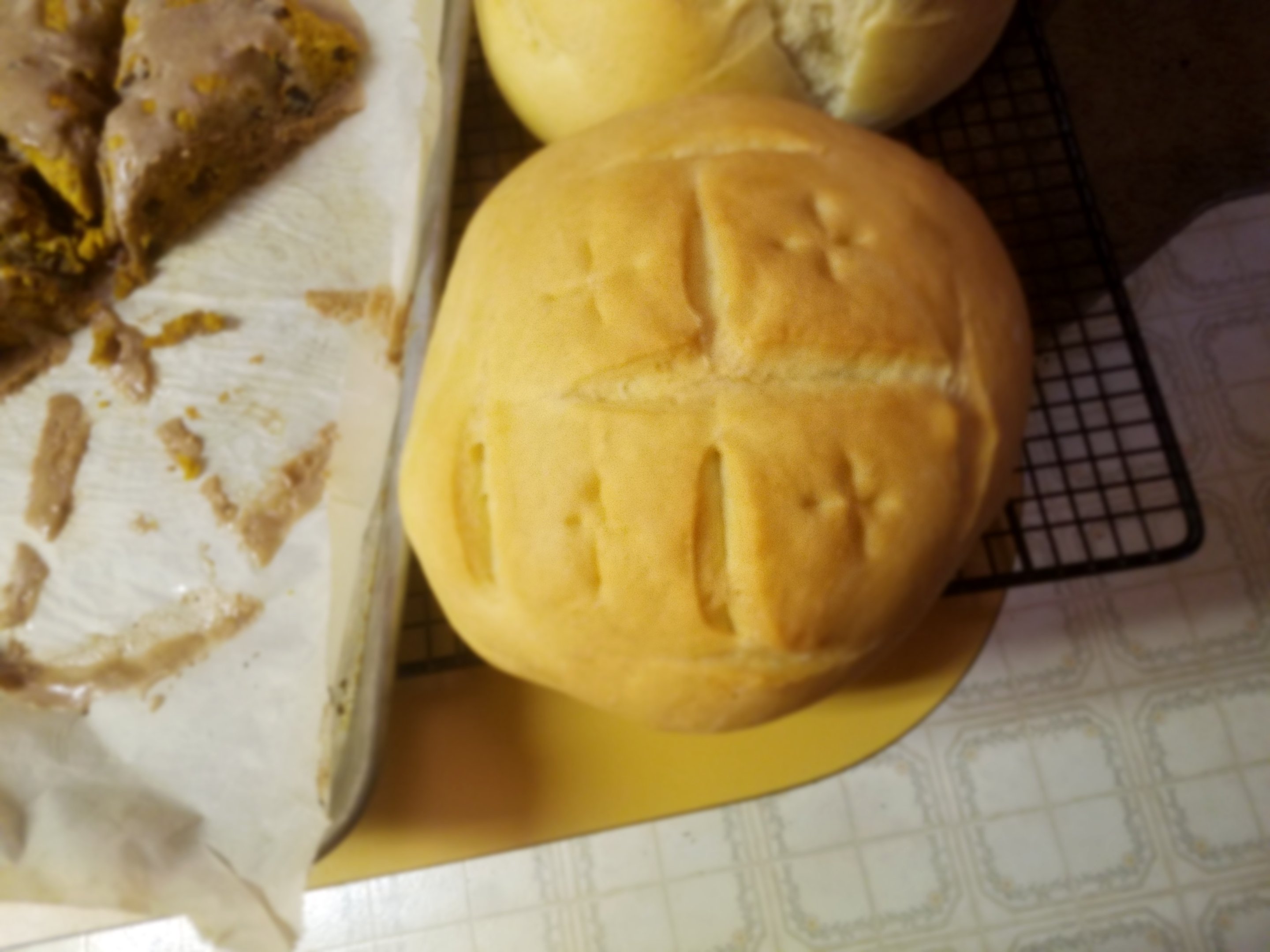 What I Have Been Doing Today - SASS Wire Saloon - SASS Wire Forum