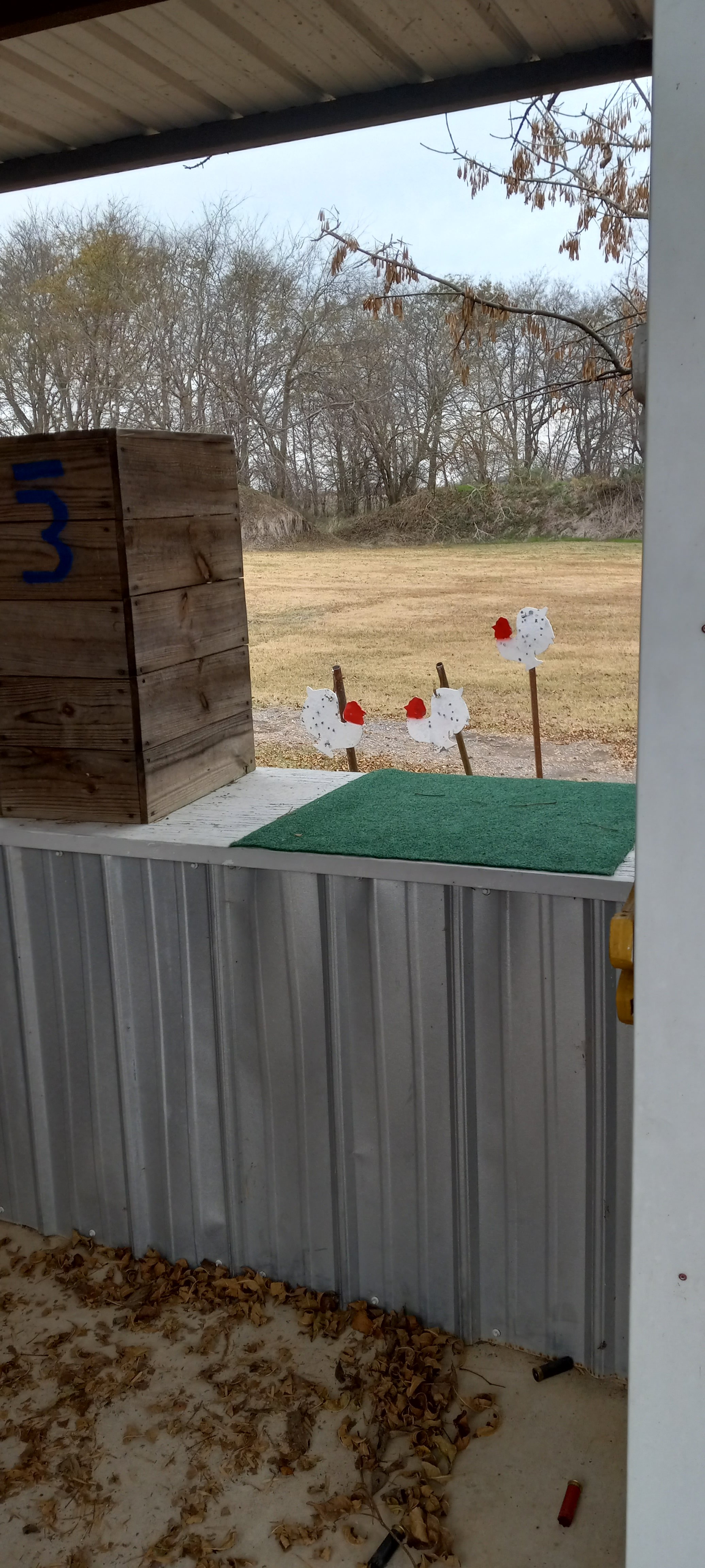You've heard of the Bar 3 CHICKENS? - SASS Wire Saloon - SASS Wire Forum