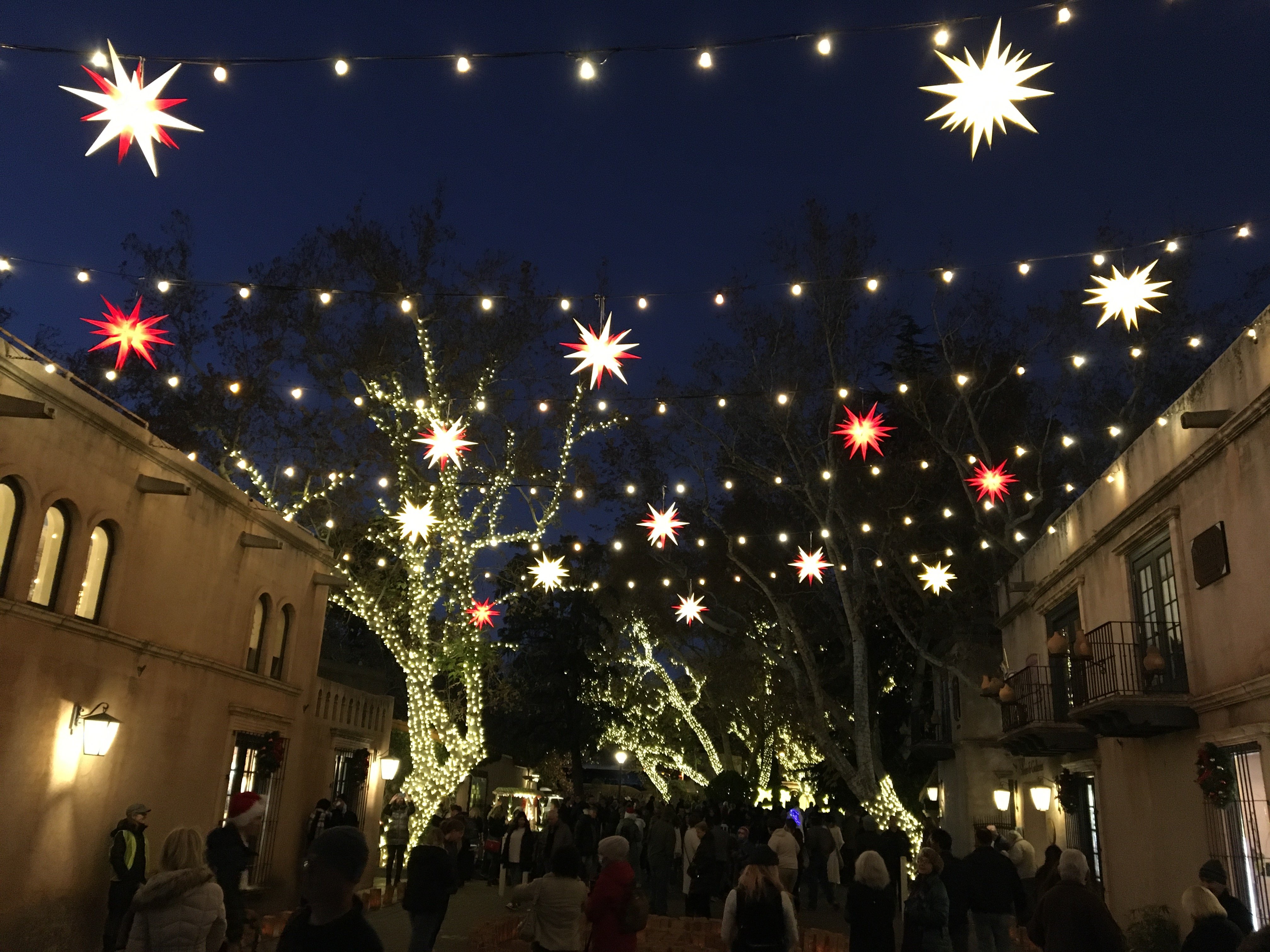 Arizona Christmas - SASS Wire Saloon - SASS Wire Forum
