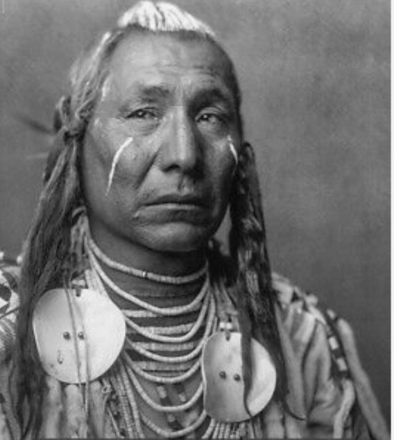 Cree Indian Proverb - SASS Wire Saloon - SASS Wire Forum