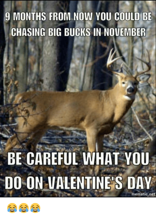 Decisions Decisions - SASS Wire Saloon - SASS Wire Forum