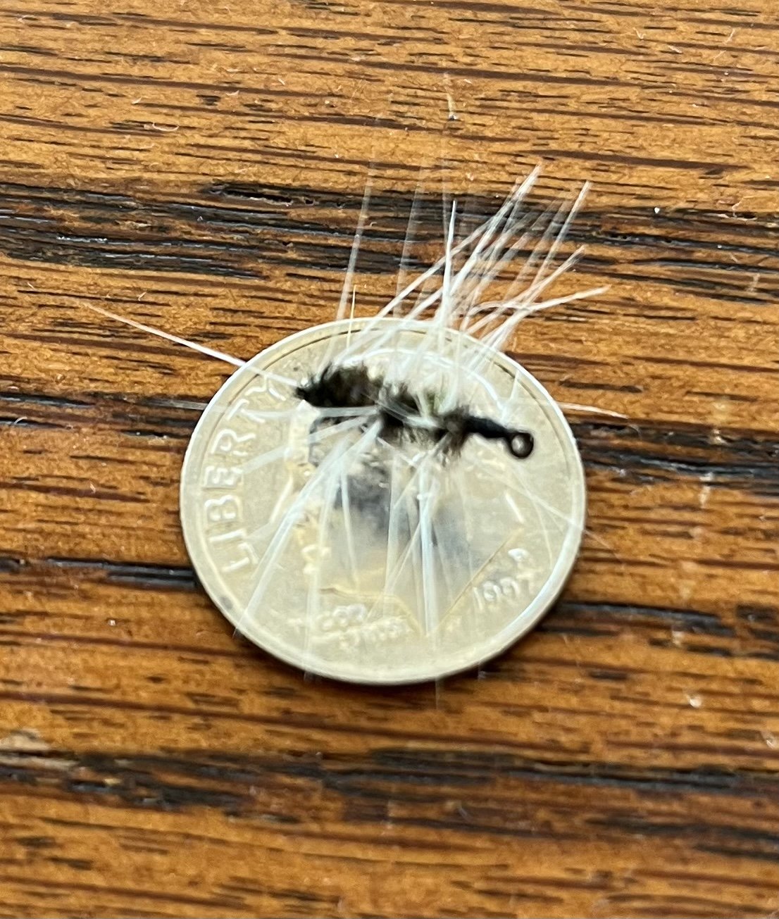 Trout/stream and lake fishing gear - SASS Wire Saloon - SASS Wire Forum