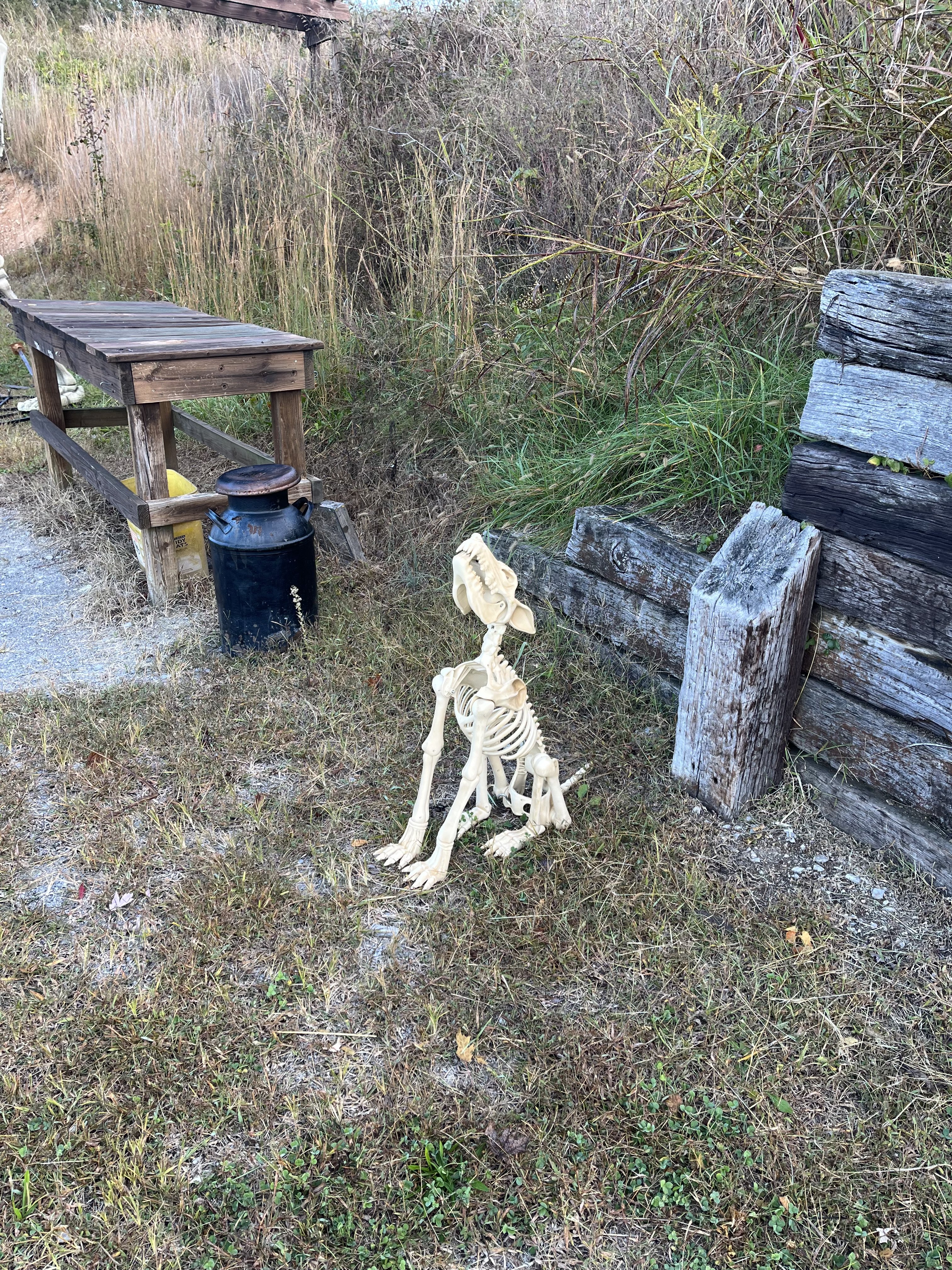 Attention Tennessee Williams - SASS Wire Saloon - SASS Wire Forum
