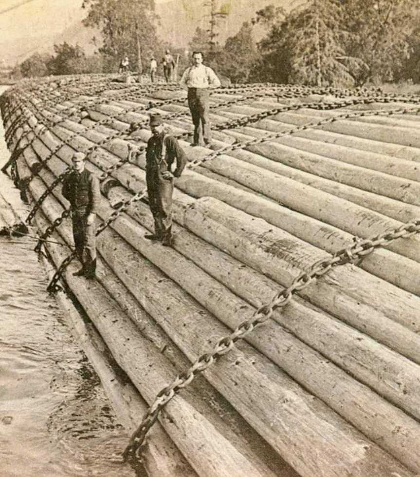 Log Raft - SASS Wire Saloon - SASS Wire Forum